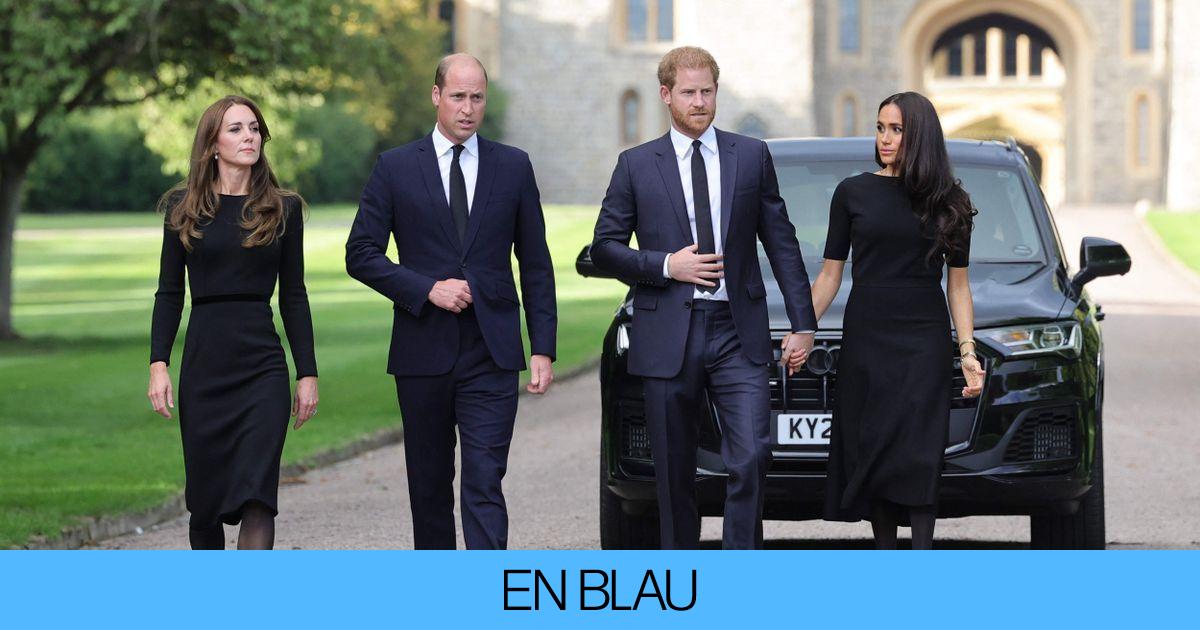 Harry Y Su Hermano Guillermo La Relación Está Rota