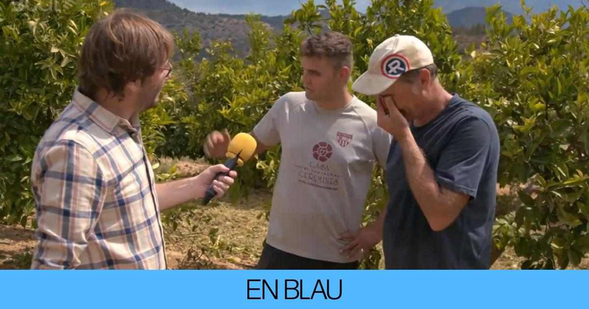 Alud de lágrimas en Xerta con 'El Foraster' más sobrecogedor: Quim ...