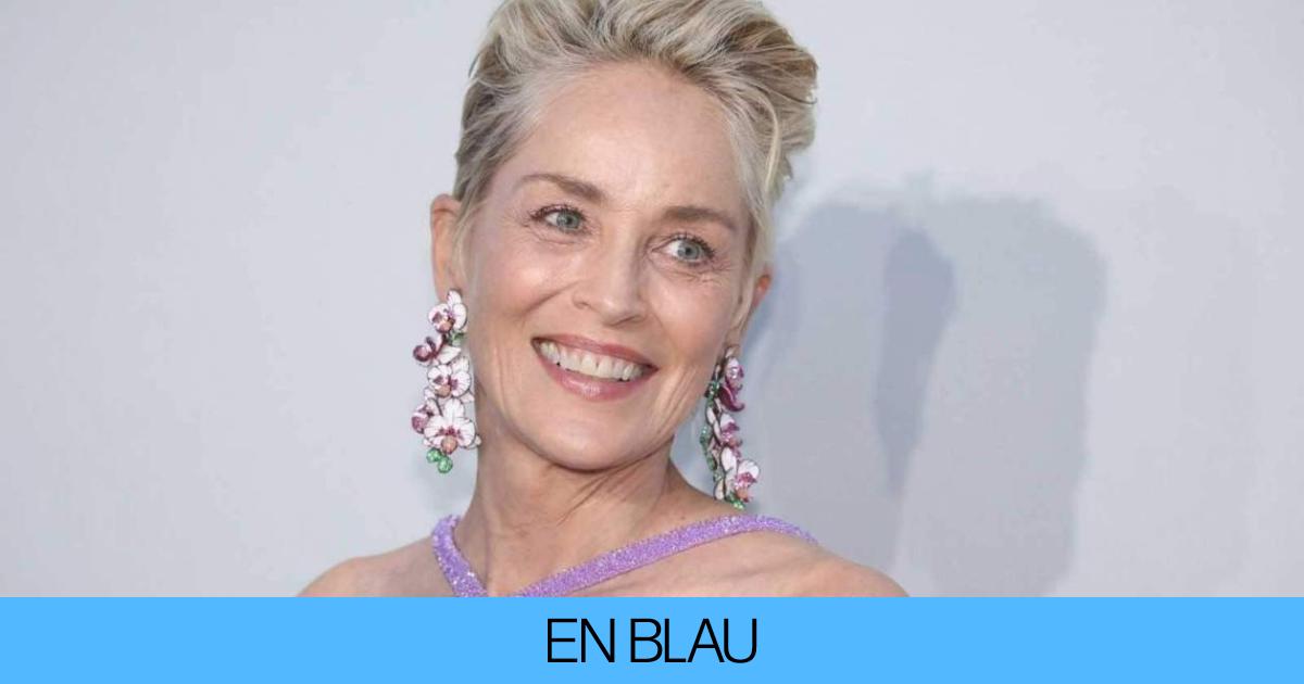 Sharon Stone quiere volver al mundo del cine