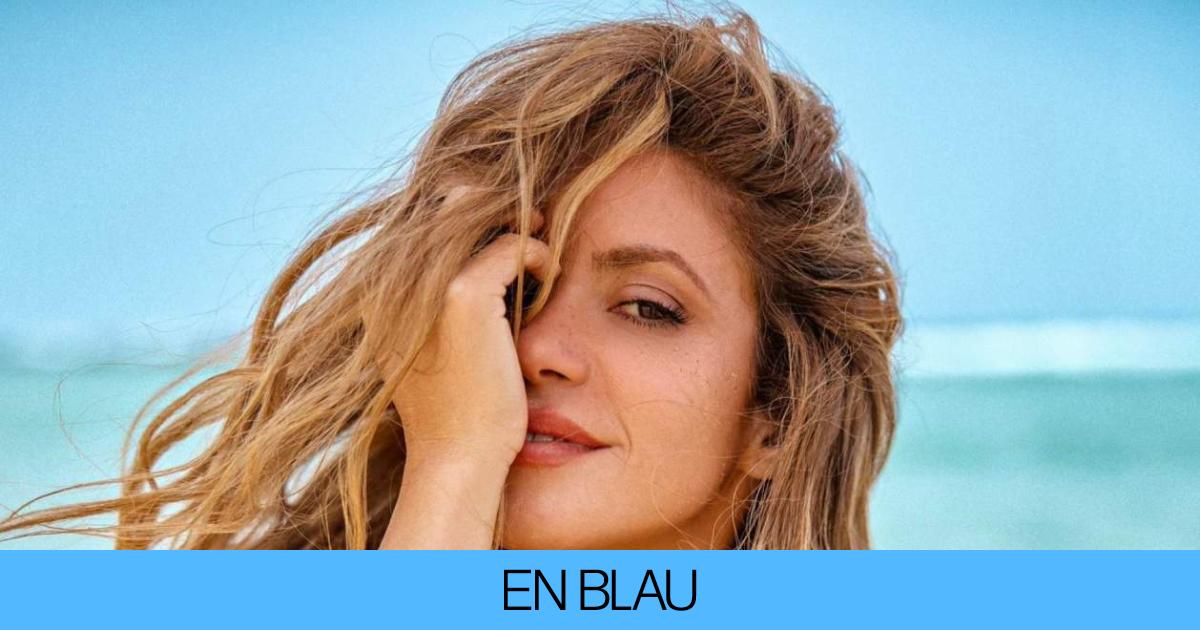 Shakira cobra 300.000 euros por hora de concierto privado