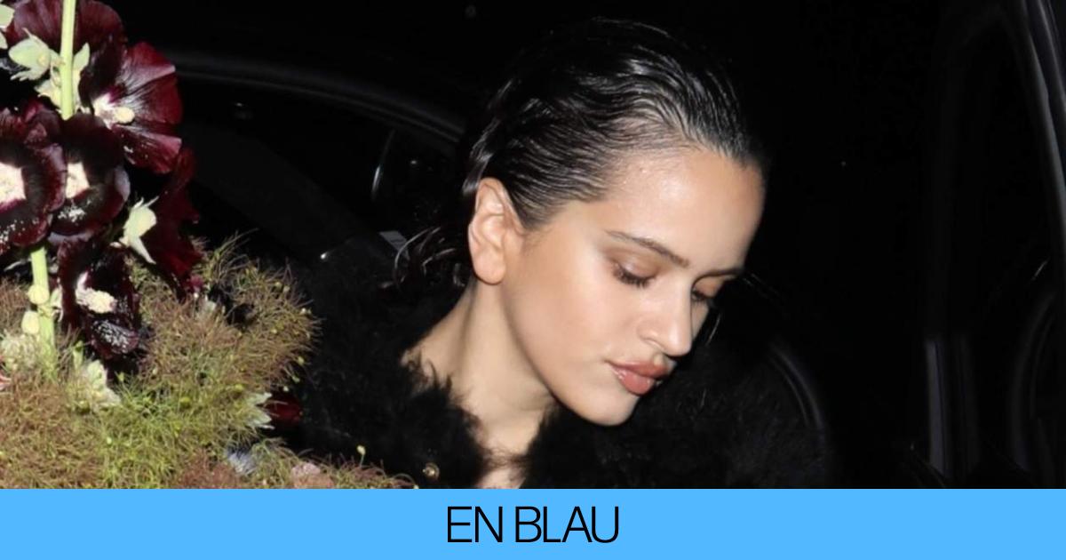 Repugnant actitud d'un fan a Rosalía, què passa mentre es fan una foto ...