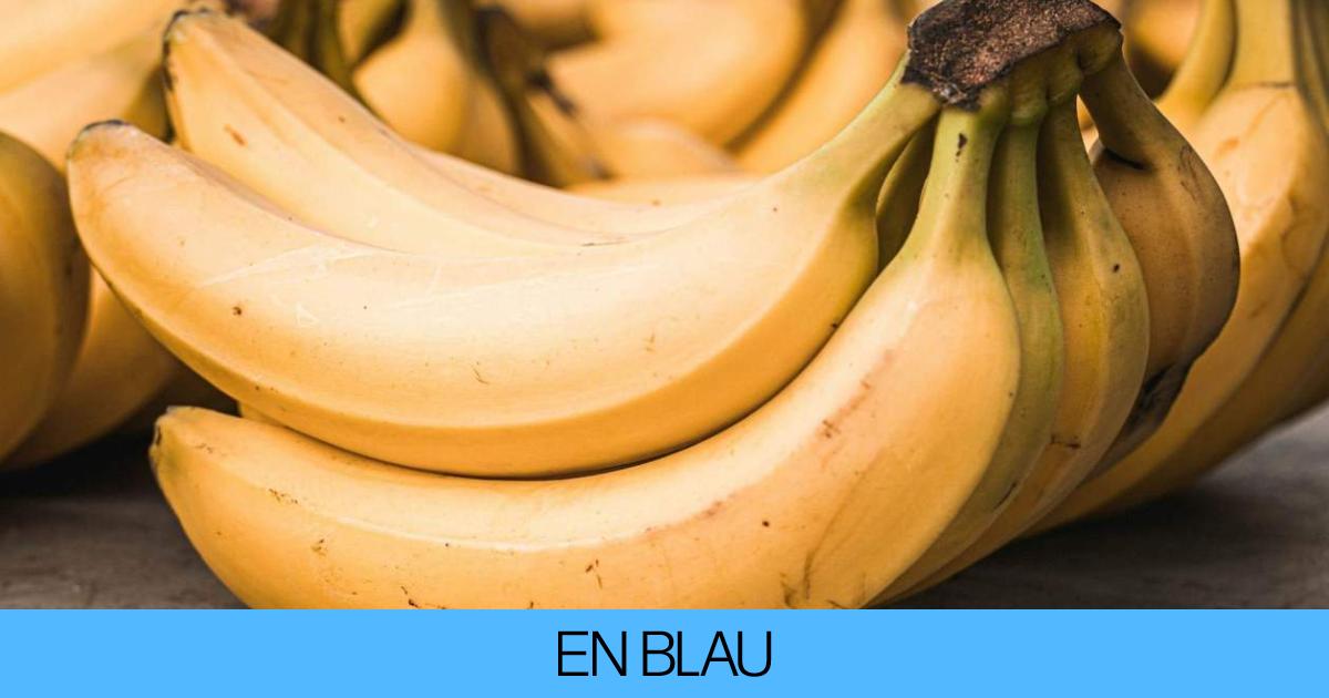 María José Gómez, experta en protocolo, enseña a comer un plátano “con ...