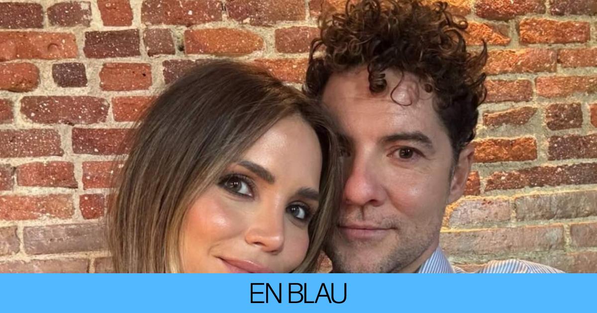 David Bisbal y Rosanna Zanetti dejan de piedra, esta es la persona que les cocina: "Lo hace divino"