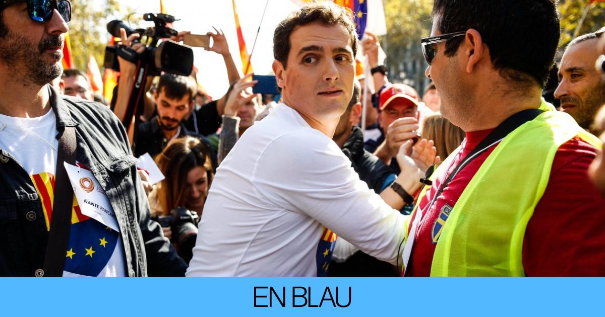 FOTO INÉDITA Albert Rivera está calvo, su trasplante fallido visto ...