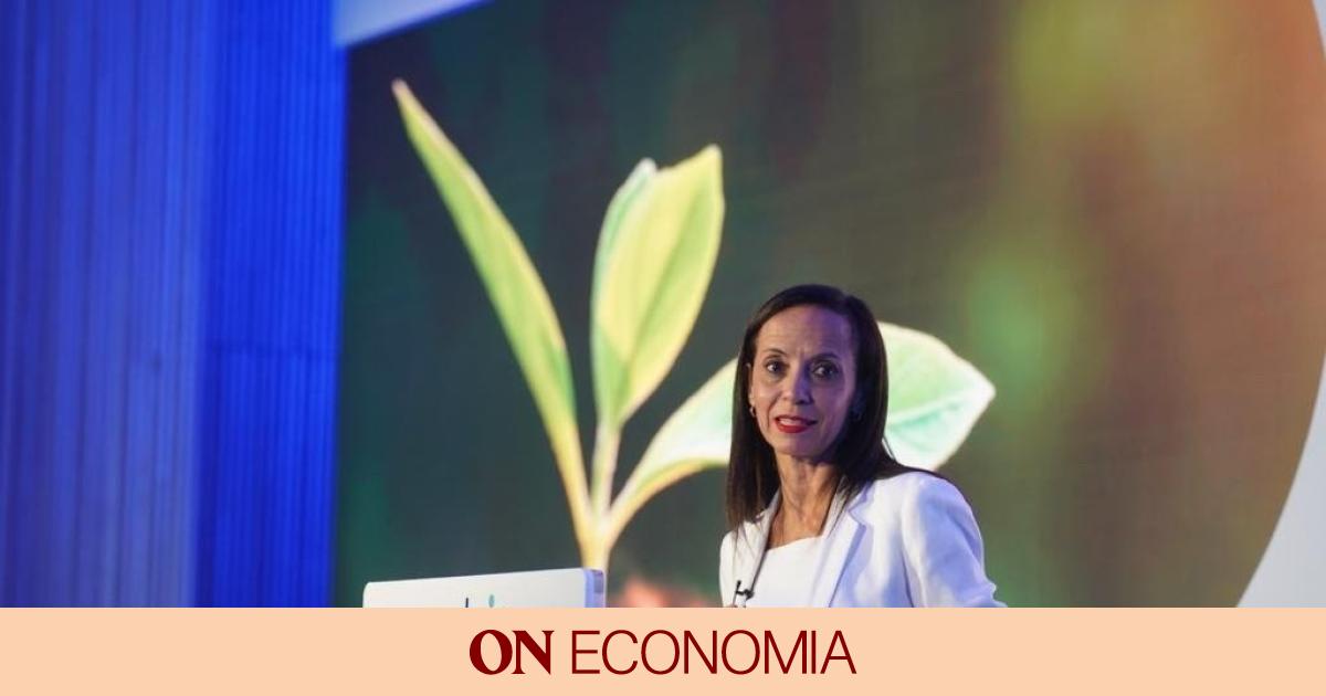 Redeia se enfrenta por primera vez a sus accionistas desde el apagón