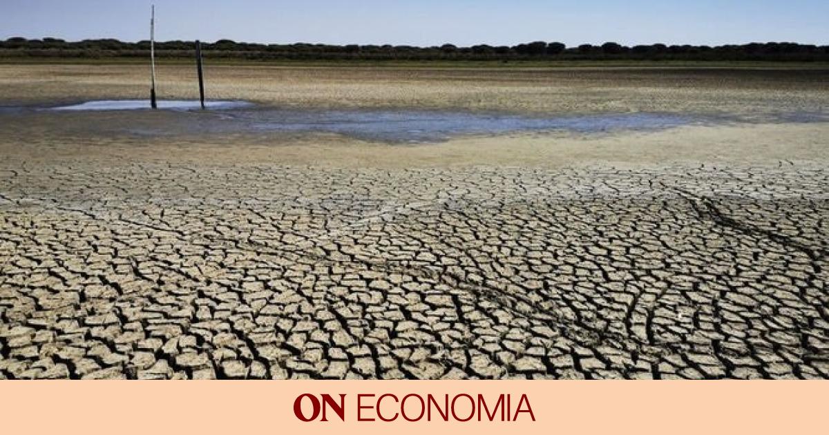 Brussel·les, oberta a donar 250 milions a països afectats per la ...