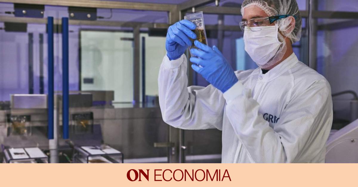 Brookfield se toma tiempo para revisar las cifras de Grifols i la opa de exclusión