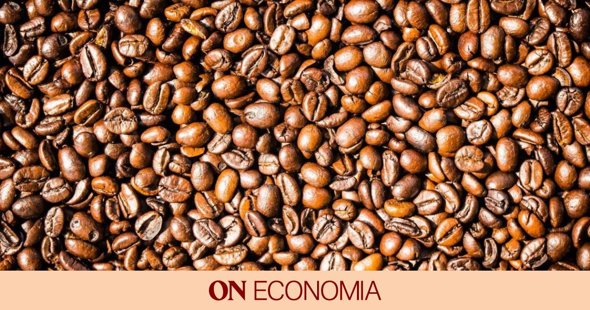Un café de lujo panameño se impone en subasta privada con 7.532 dólares ...