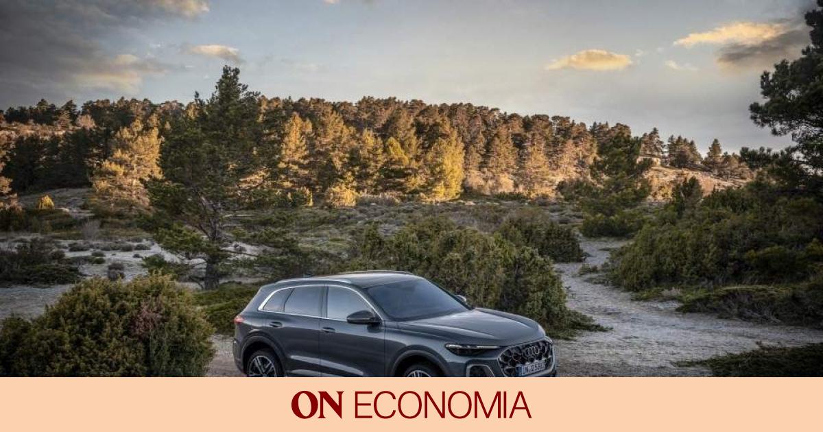 Audi arranca en España la venta de sus nuevos SUV Q5 y SQ5 desde 61.600 ...