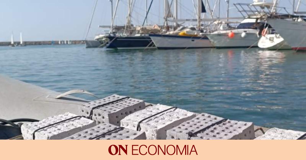 Ocean Ecostructures y sus micro arrecifes biomiméticos llegan al Port ...