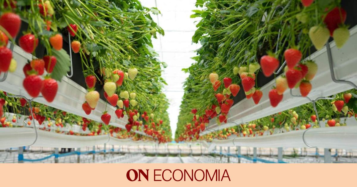 Ametller Origen invertirà 50 milions en un centre de producció i ...