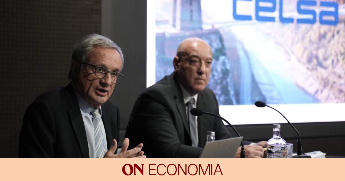 Celsa pierde 281 millones y reduce un 48% la deuda sin tener ...