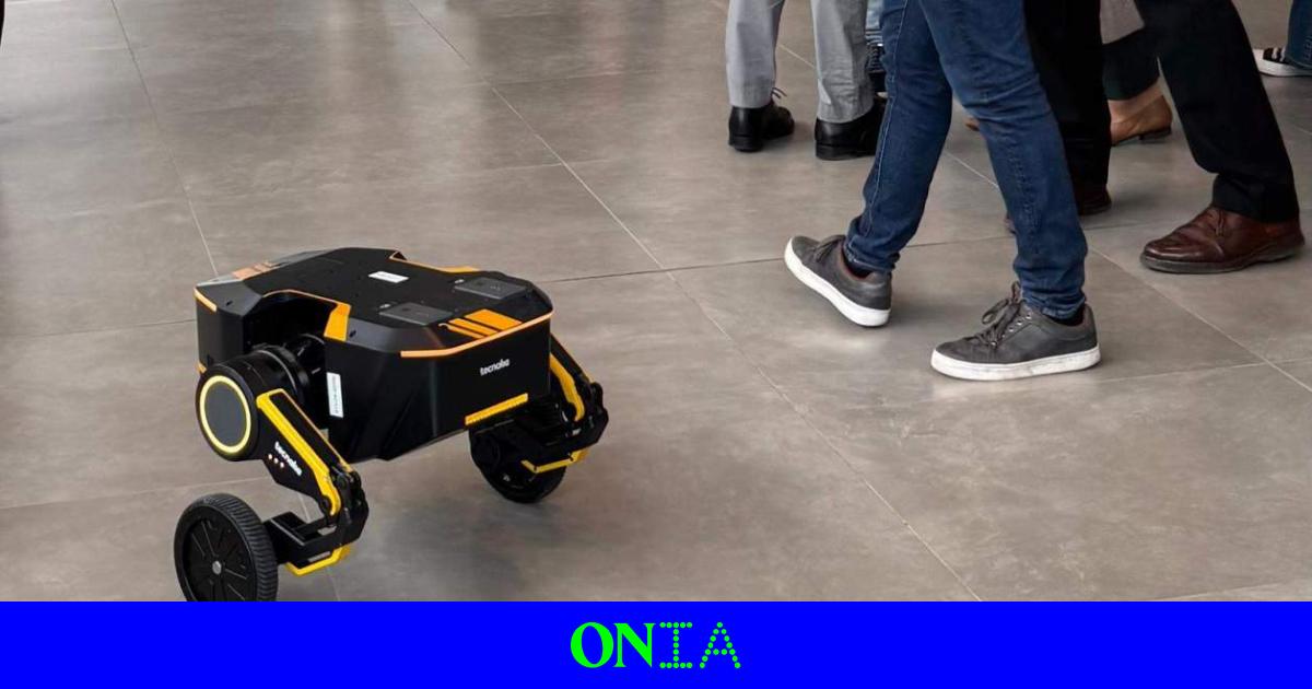 Talento IA en el mundo rural: un robot gallina que motiva los pollos de ...