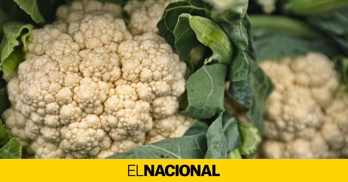 ¿Es la col un superalimento? Aquí destacamos algunos de sus beneficios