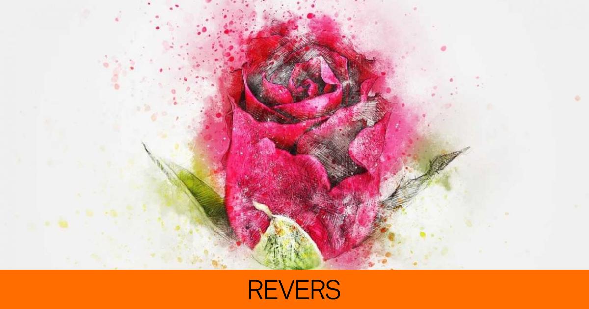Cómo dibujar una rosa paso a paso