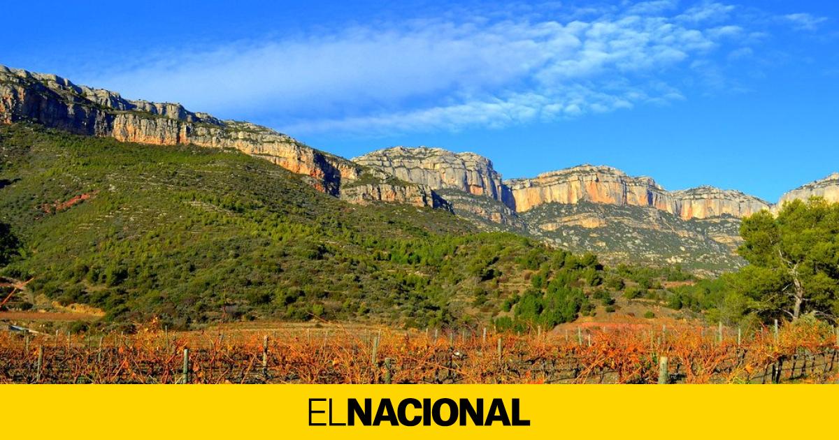 Ruta en coche (4): Disfruta del Priorat sin prisas