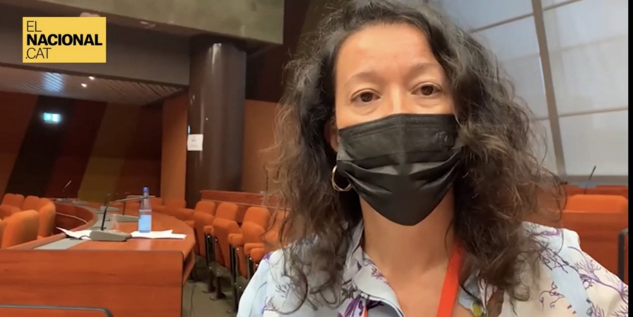 Castel: "Ha habido muchísimas presiones de España en el Consejo de Europa"