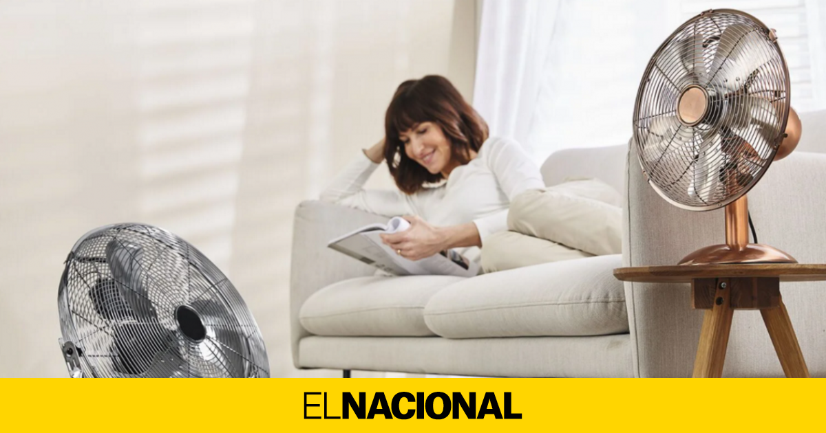 El ventilador 'low cost' de Lidl, el mejor aliado ante la ola de calor