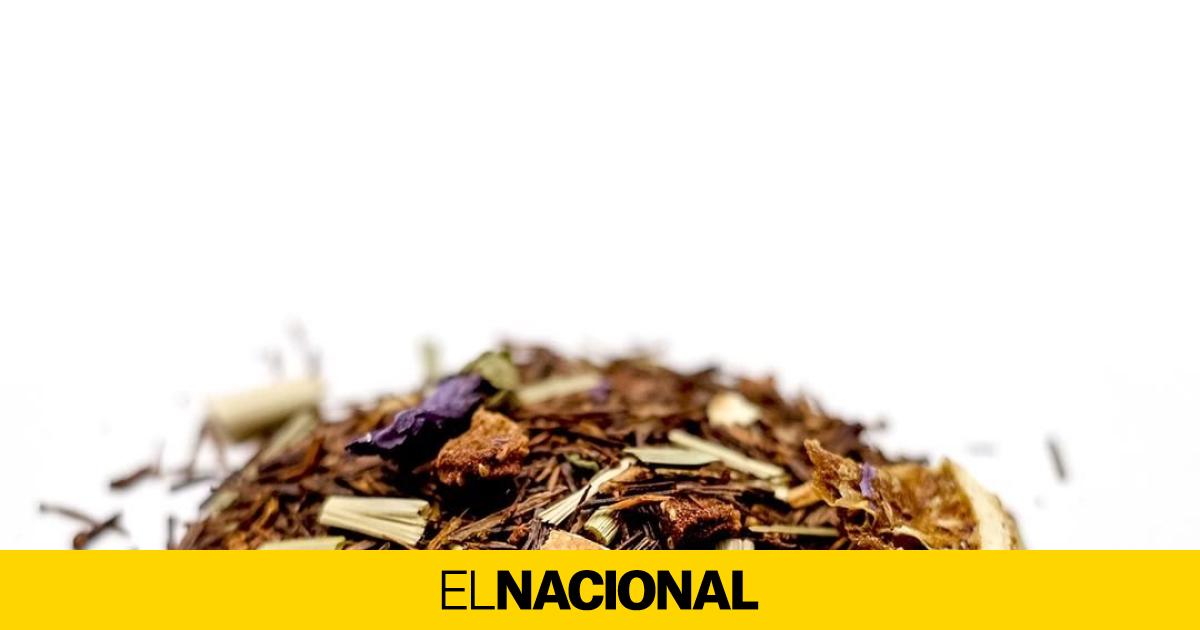 Rooibos, una infusión que ha llegado con fuerza por sus múltiples ventajas