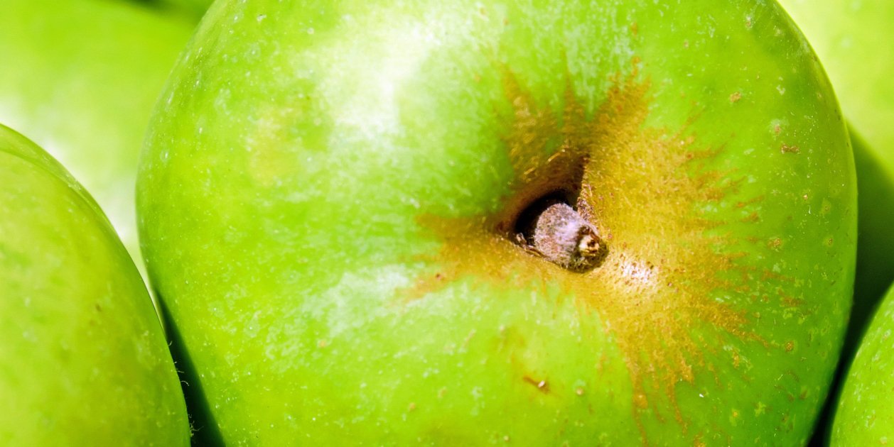 Cuatro alimentos que te ayudan si estás estreñido