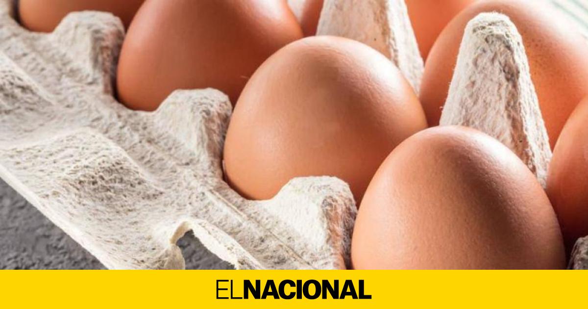 Un alimento muy presente en nuestras cocinas y objeto de muchos estudios