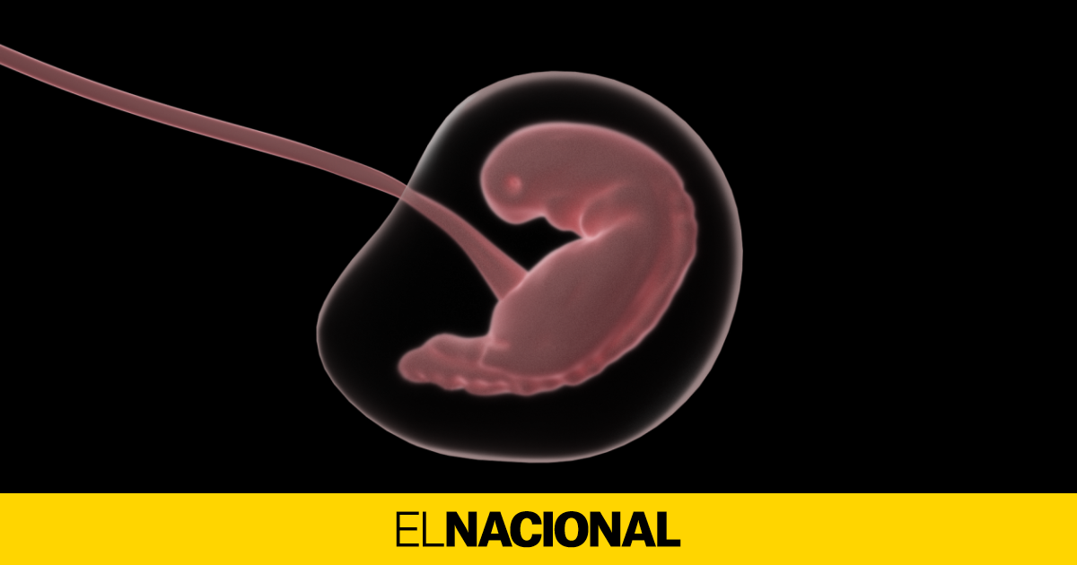 El problema de los "embriones sin destino": ¿qué son y qué pasa?