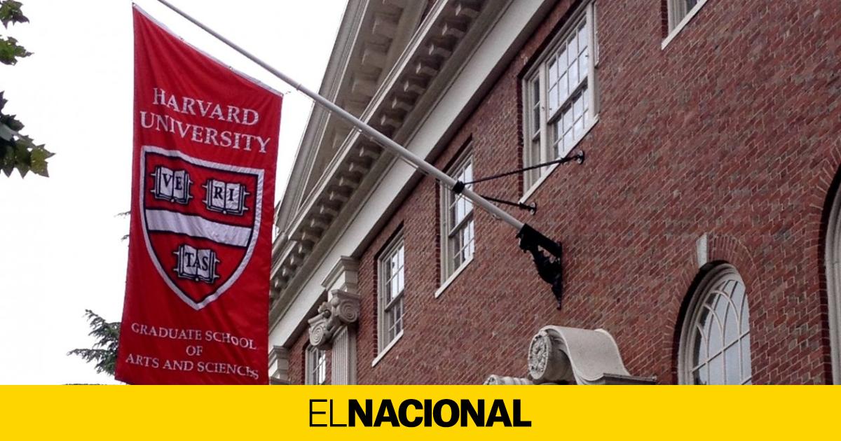 Dimite la rectora de Harvard, acusada de plagio y de ser ambigua con el ...