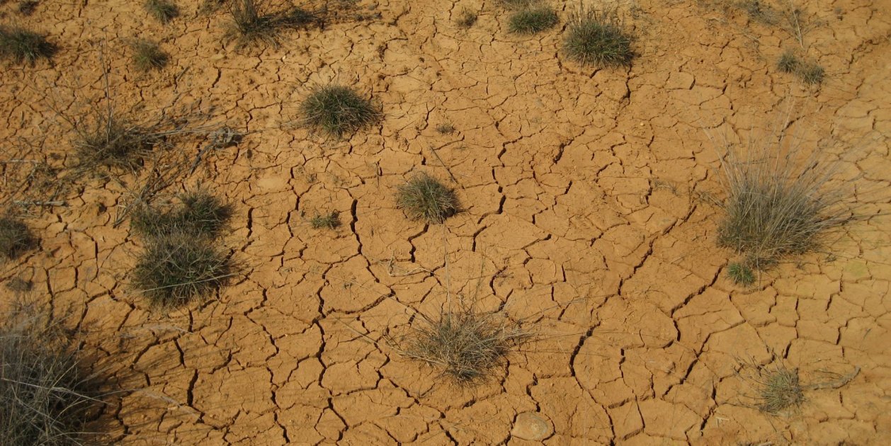 Cada gota cuenta: consejos para ahorrar agua ante la sequía