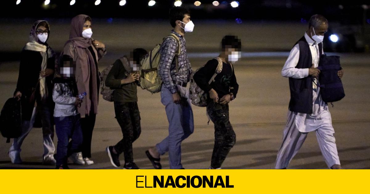 ¿Cuáles son las diferencias sobre inmigración que han roto el gobierno ...