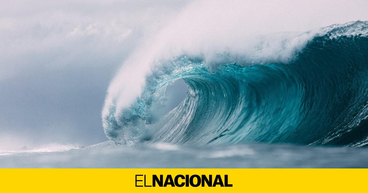 Alerta de tsunami al sur de Chile después de un fuerte terremoto de 7,5 ...