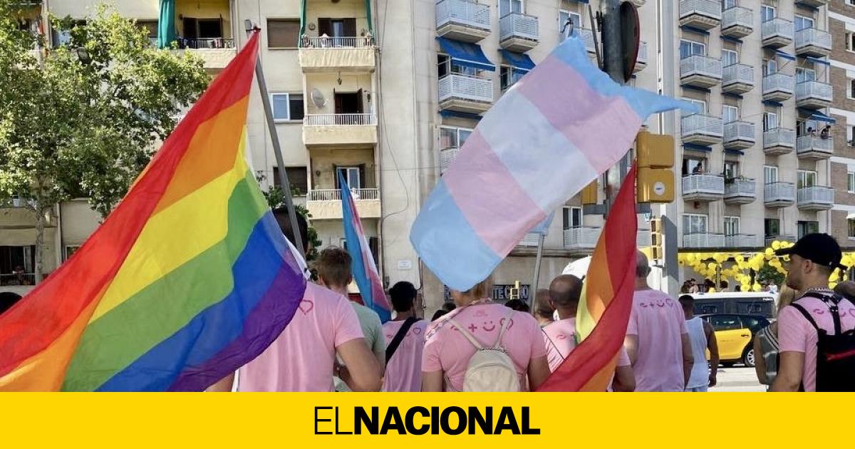 111 puntos de atención LGBTI+ para garantizar el derecho a vivir y ser como quieras