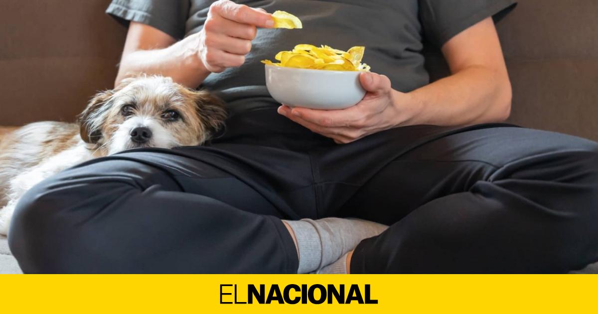 Los peligros de una vida sedentaria para tu salud