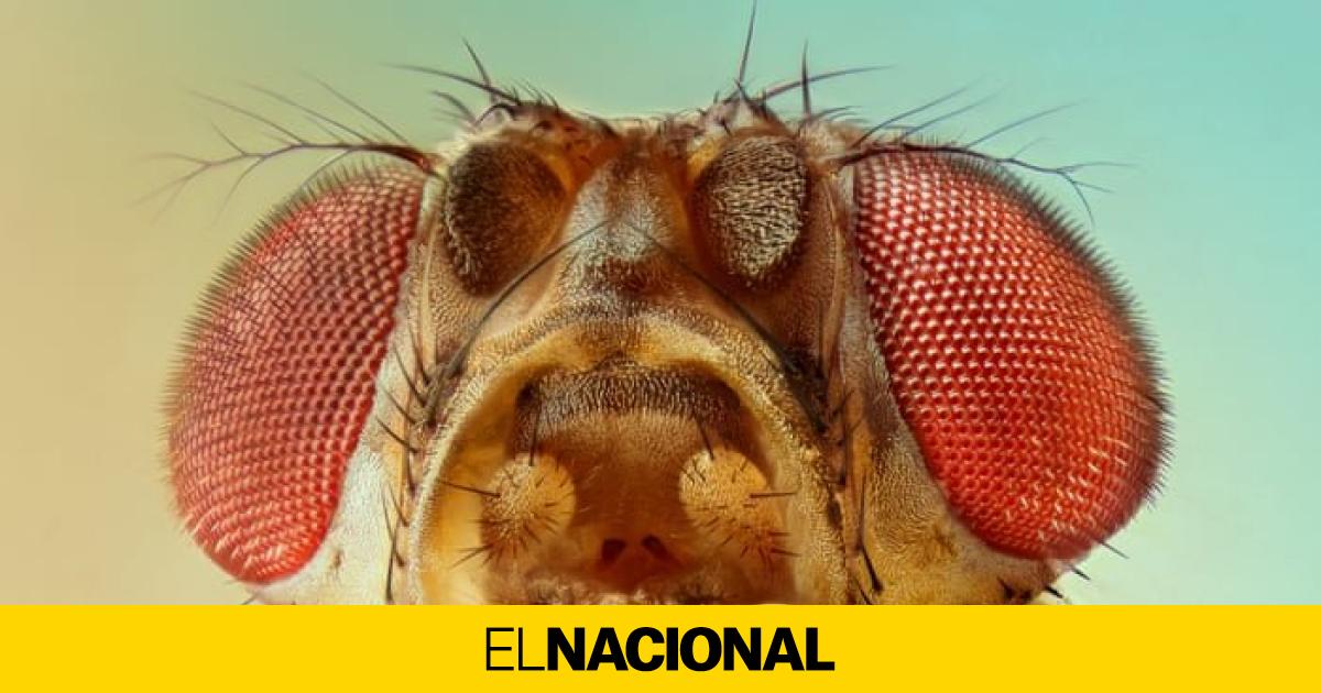 En México no se andan con bromas: energía nuclear para liquidar a la ...