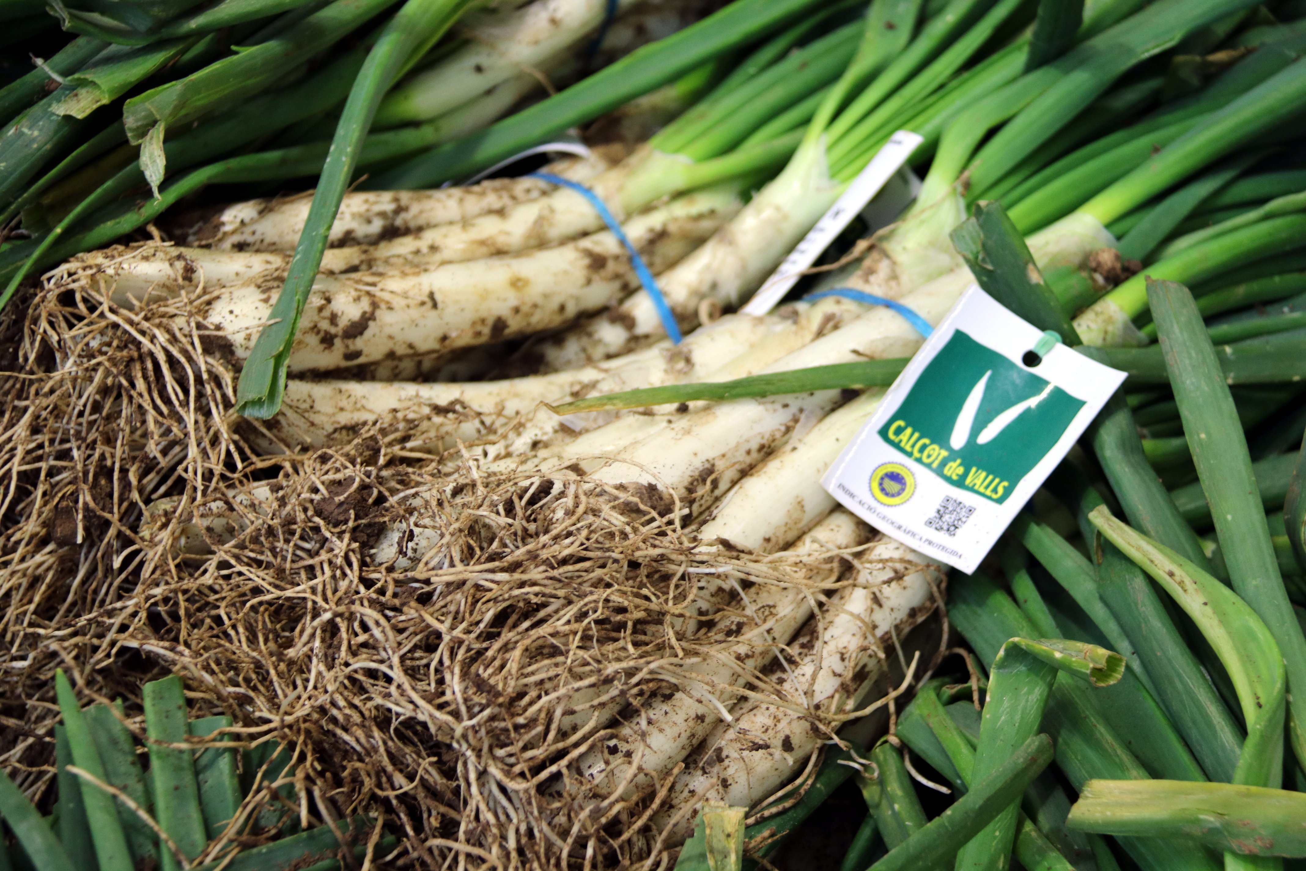 EL MÓN MIRA CATALUNYA: La venda de calçots pot arribar per primer cop ...