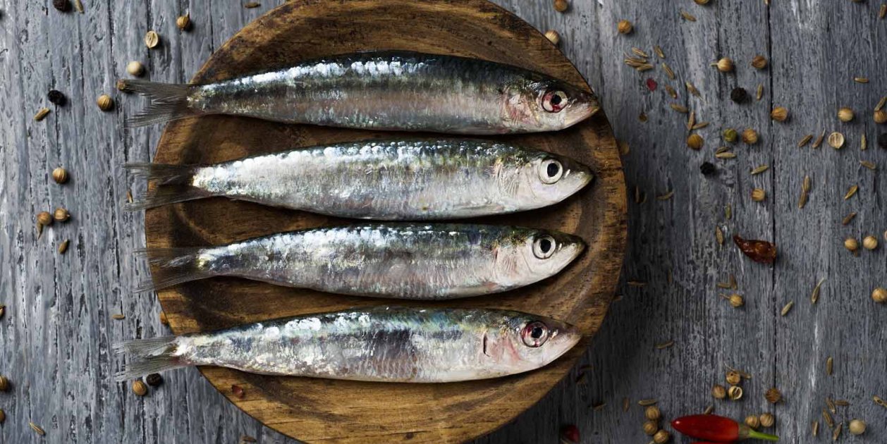 Peix blau o peix blanc: què menjar aquesta tardor?