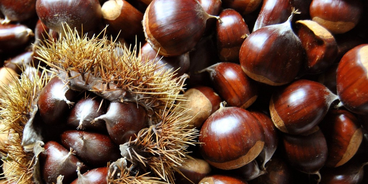 Castañas: el picoteo más saludable de la temporada