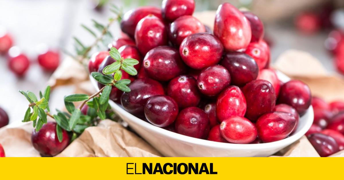 Un fruto rojo muy llamativo que te ayuda en muchos aspectos