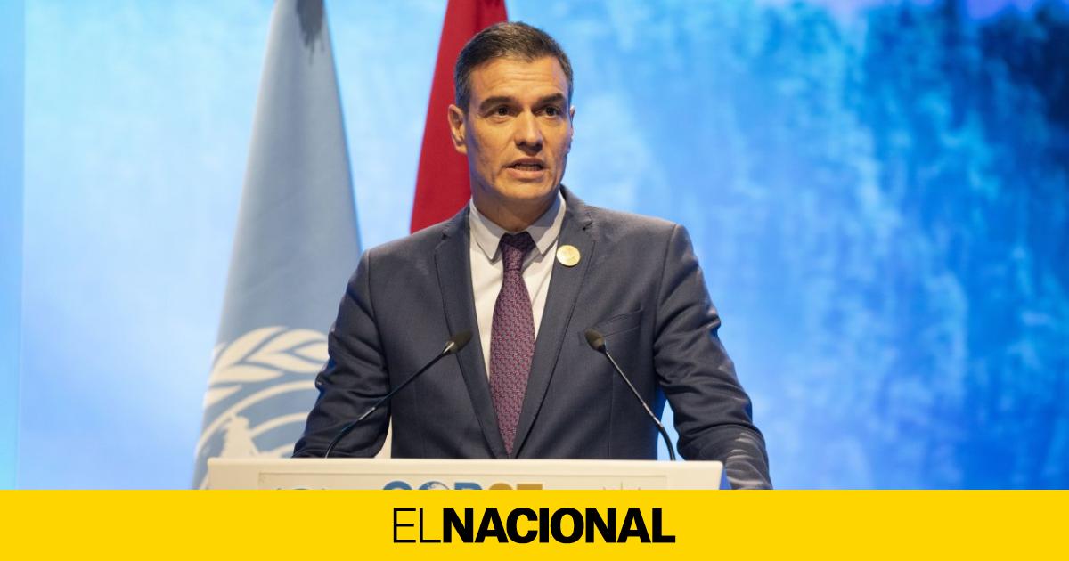 La promesa de Pedro Sánchez en la COP27: treinta millones para la ...
