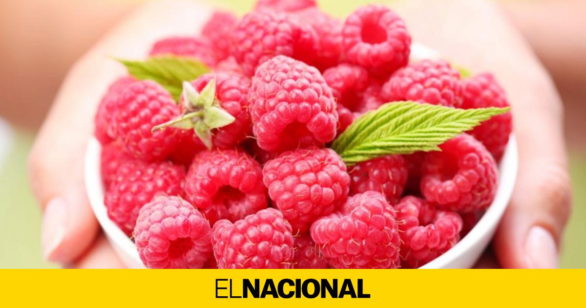 Todos los beneficios de este fruto rojo tan popular