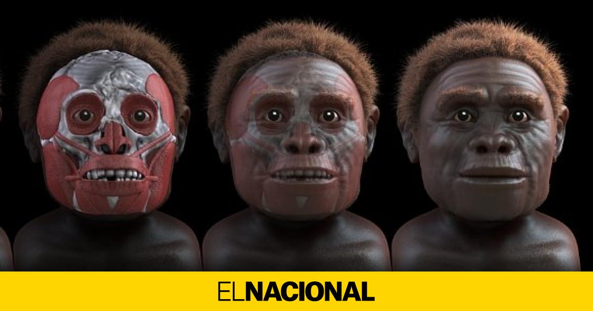 Un libro fantasea con la posibilidad de que el Homo floresiensis siga vivo