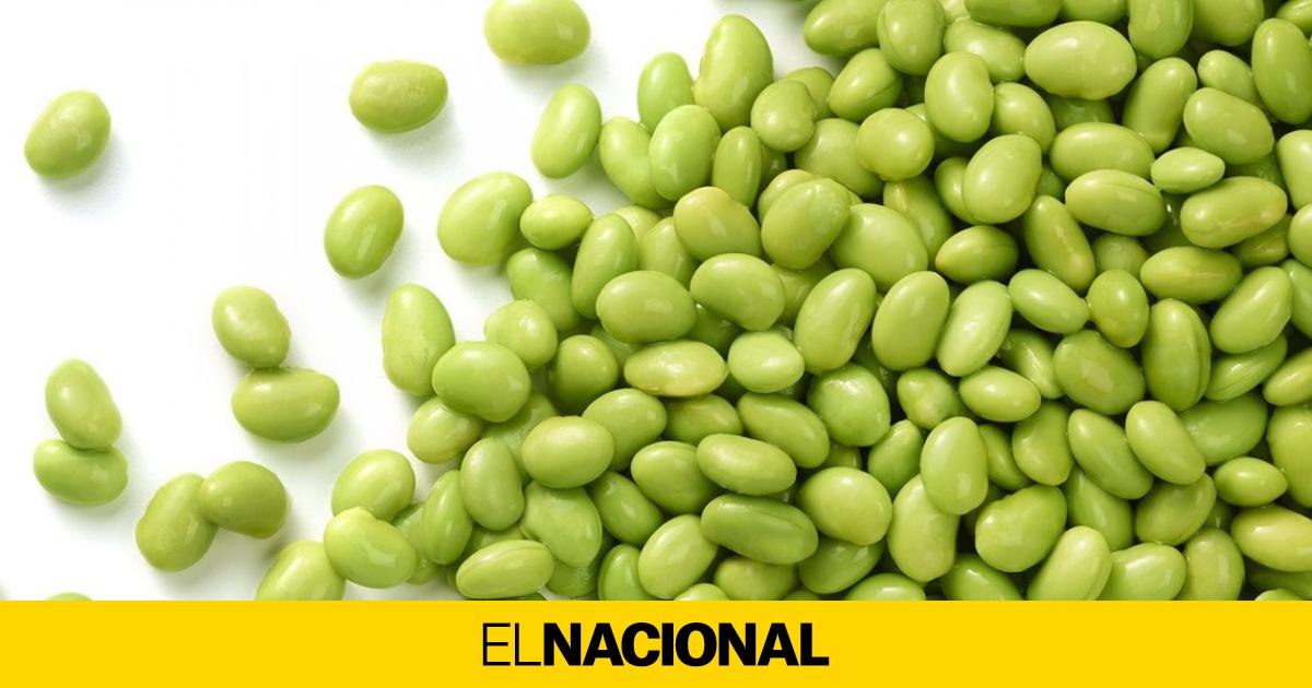 Habas: esto te aporta y así puedes consumirlas