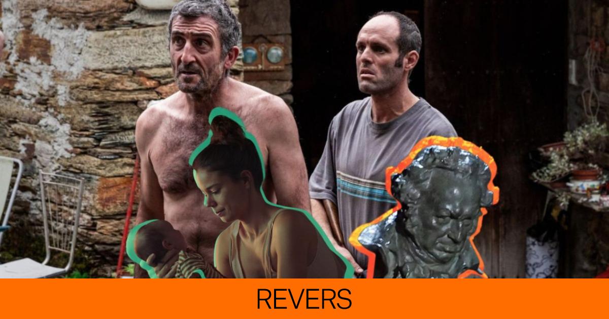 Premis Goya 2023: Data, Nominats, Presentadors i Quiniela