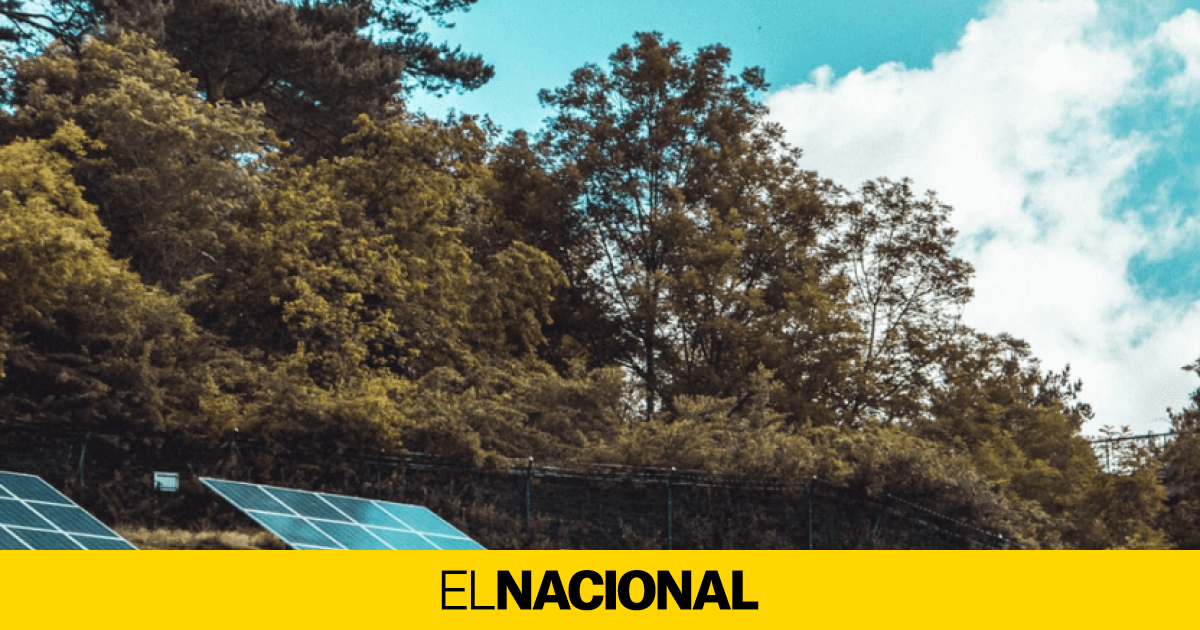 La concurrencia de ayudas abarata hasta en un 80% los sistemas residenciales de autoconsumo energ...