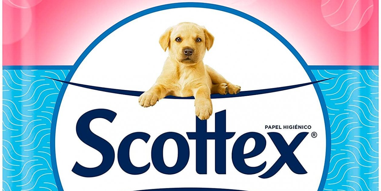Papel higiénico Scottex original rebajado un 16%