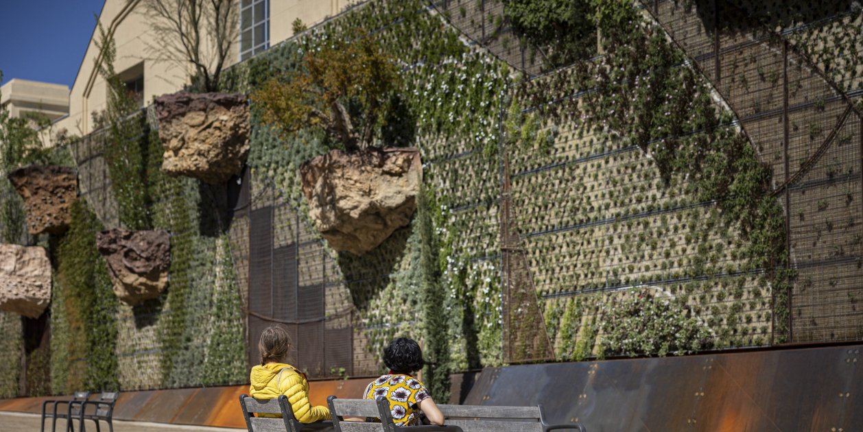 El CaixaForum estrena el primer bosc vertical amb arbres en suspensió ...