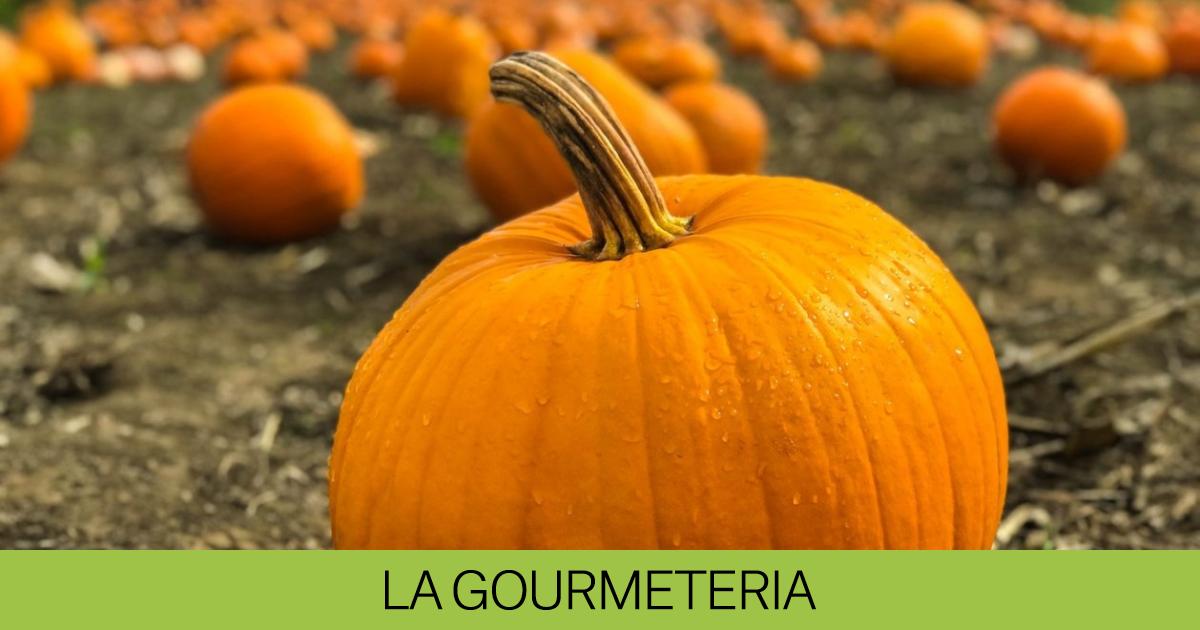 La carbassa: l'ingredient màgic per aconseguir un cutis perfecte a ...
