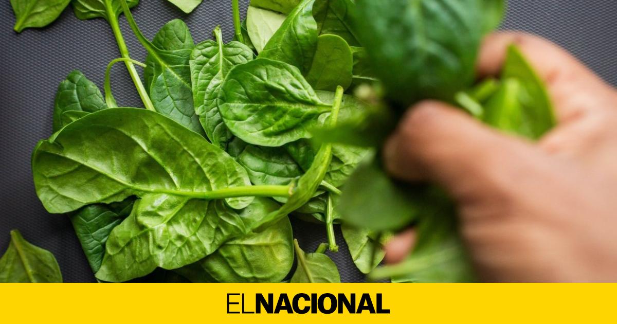 Un alimento aliado de tu salud: las espinacas