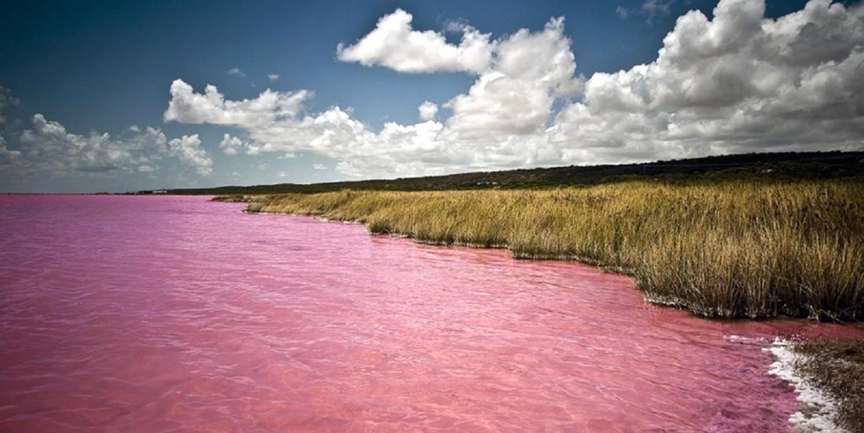 Lago Retba en Senegal: la explicación de por qué un lago de África es ...