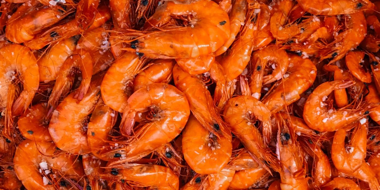 Por qué la quisquilla se debe comer en crudo: descubre el tiempo ...