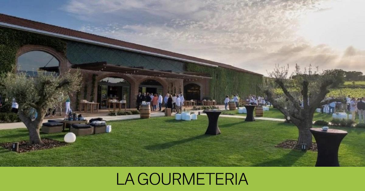 Los vinos más exclusivos de la bodega Familia Torres, a corazón abierto